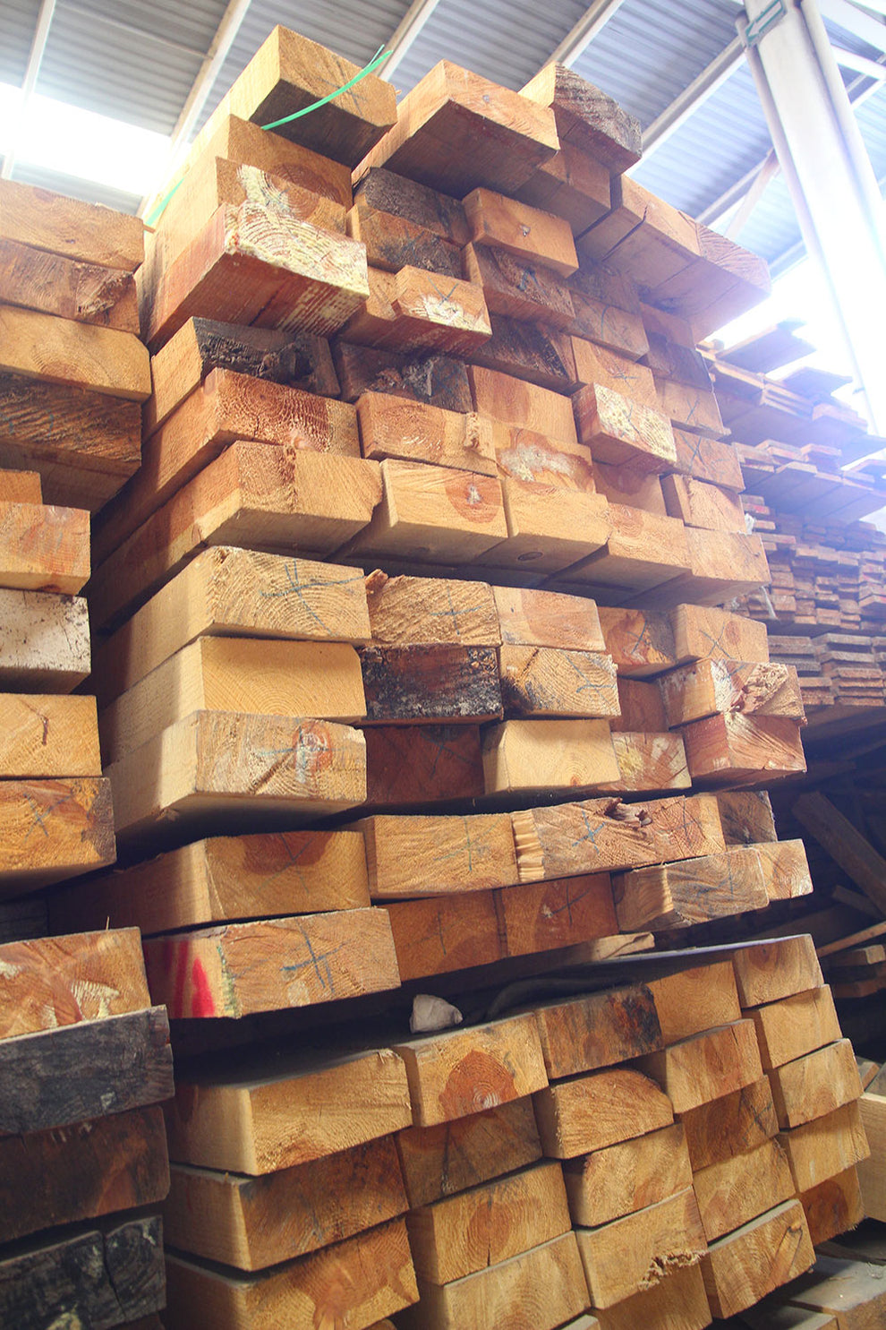 BARROTE – gmse-mex